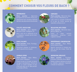 fleurs de Bach - tableau - classification - La Bulle Bio