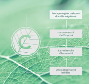 Centifolia, pionnière de la cosmétique bio depuis 40 ans
